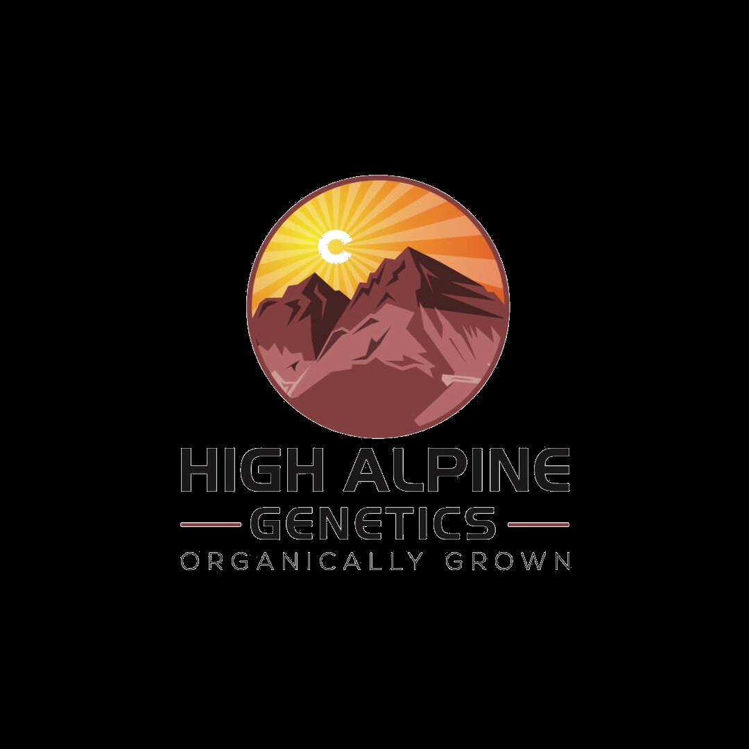 High Alpine Genetics – High Sticky Crew : Master CBD suisse