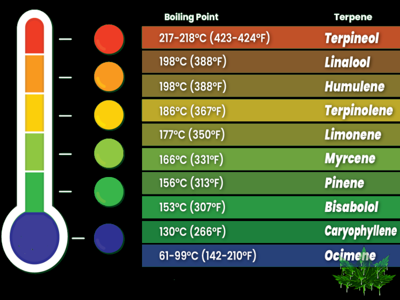 Points de Combustion des Terpènes – High Sticky Crew : Master CBD suisse