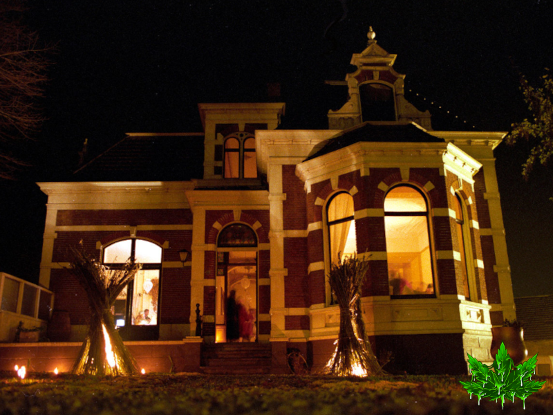 Le "Cannabis Castle" – High Sticky Crew : Master CBD suisse
