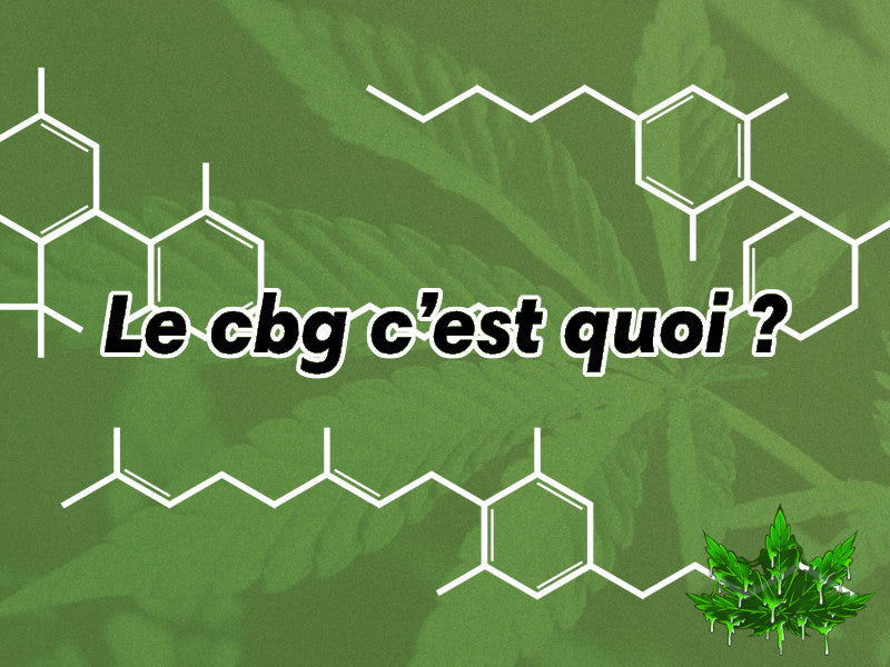 what CBG is? – High Sticky Crew : Master CBD suisse
